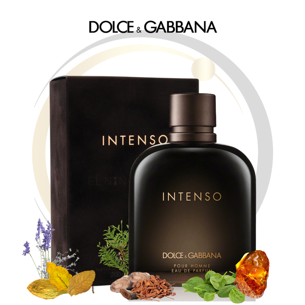 Dolce & Gabbana Pour Homme Intenso 4.2 EDP – LuxOrbit